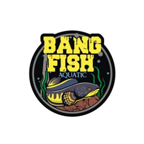 Bang Fish Attractants