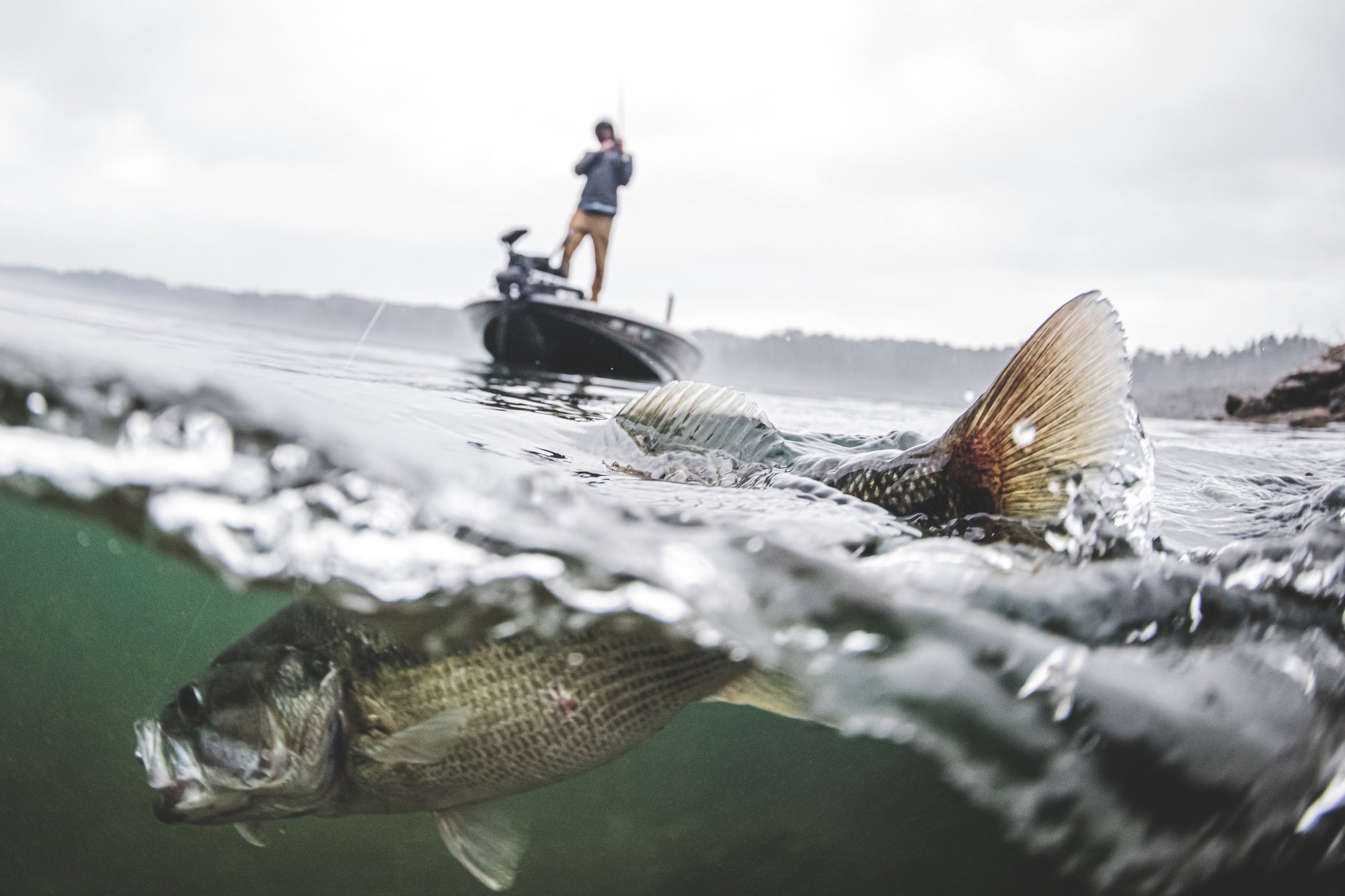 About Us – Angling Sports